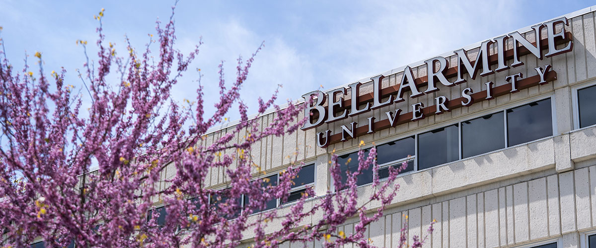 School Of Education Bellarmine University