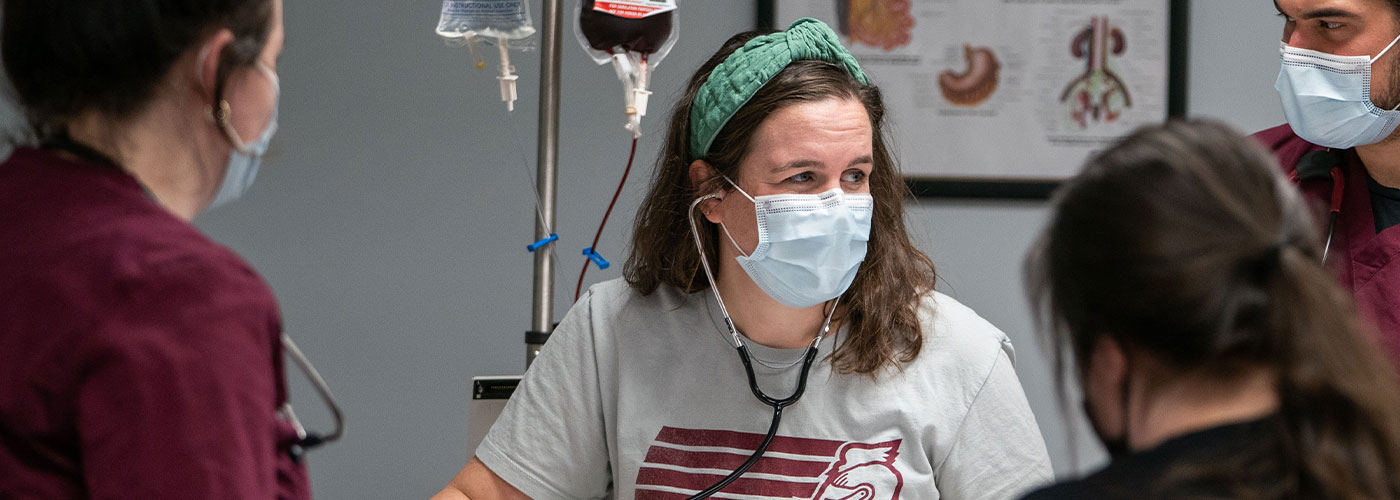 FNP, Family Nurse Practitioner (Online)