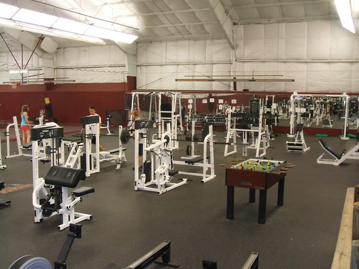 wellness in everyday life